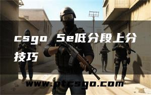 csgo 5e低分段上分技巧-PTCSGO开箱网导航