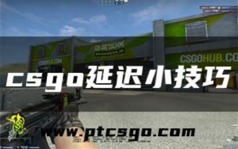 csgo模拟开箱网,虚拟体验，真实快感-PTCSGO开箱网导航