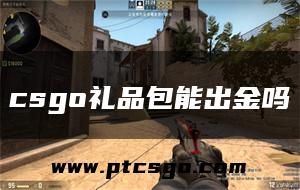 csgo礼品包能出金吗-PTCSGO开箱网导航