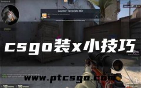csgo模拟开箱网,虚拟体验，真实快感-PTCSGO开箱网导航
