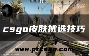 csgo皮肤挑选技巧-PTCSGO开箱网导航