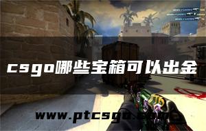 csgo哪些宝箱可以出金-PTCSGO开箱网导航