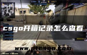csgo开箱记录怎么查看-PTCSGO开箱网导航