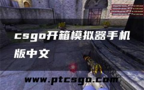 csgo模拟开箱网,虚拟体验，真实快感-PTCSGO开箱网导航