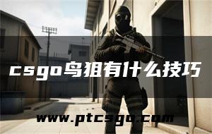 csgo鸟狙有什么技巧-PTCSGO开箱网导航