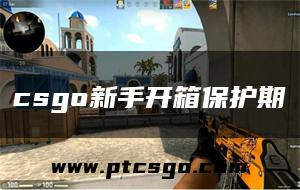 csgo新手开箱保护期-PTCSGO开箱网导航