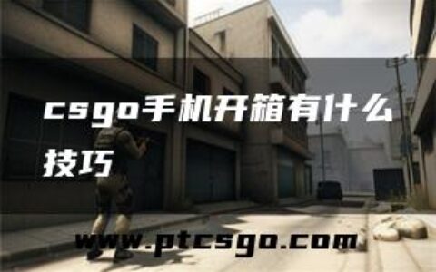 csgo模拟开箱子网站,体验虚拟开箱的乐趣-PTCSGO开箱网导航