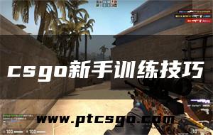 csgo新手训练技巧-PTCSGO开箱网导航