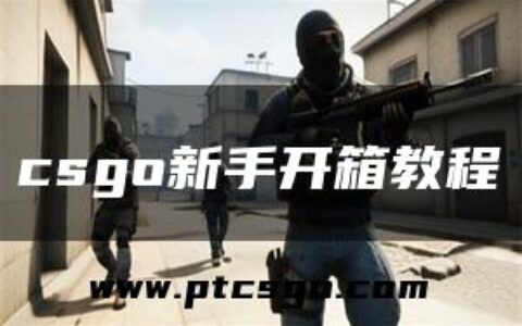 csgo模拟开箱网,虚拟体验，真实快感-PTCSGO开箱网导航