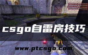 csgo自雷房技巧-PTCSGO开箱网导航