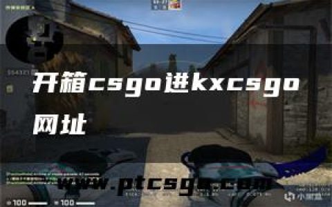 Steam上查看CSGO开箱记录的方法与技巧-PTCSGO开箱网导航