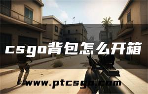 csgo背包怎么开箱-PTCSGO开箱网导航