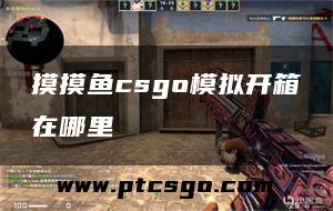 摸摸鱼csgo模拟开箱在哪里-PTCSGO开箱网导航