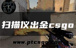 扫描仪出金csgo-PTCSGO开箱网导航