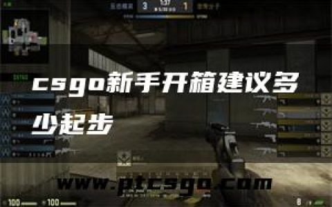 csgo模拟开箱网,虚拟体验，真实快感-PTCSGO开箱网导航