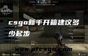 csgo新手开箱建议多少起步-PTCSGO开箱网导航