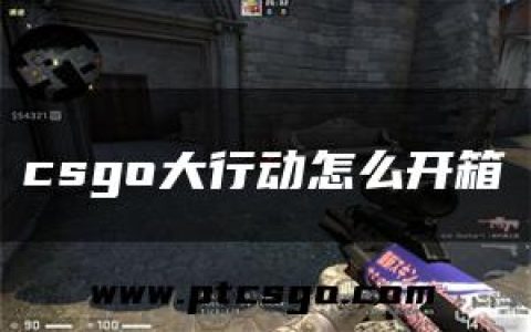 csgo模拟开箱网,虚拟体验，真实快感-PTCSGO开箱网导航