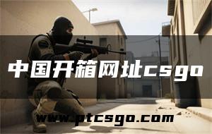 中国开箱网址csgo-PTCSGO开箱网导航