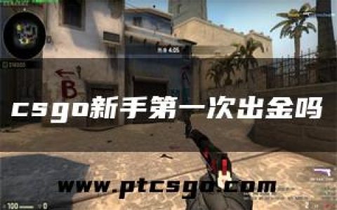 csgo模拟开箱网,虚拟体验，真实快感-PTCSGO开箱网导航