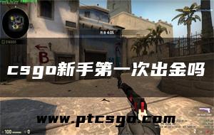 csgo新手第一次出金吗-PTCSGO开箱网导航