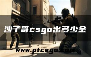 沙子哥csgo出多少金-PTCSGO开箱网导航