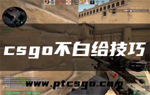 csgo不白给技巧-PTCSGO开箱网导航