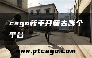 csgo新手开箱去哪个平台-PTCSGO开箱网导航