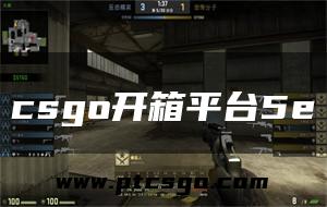 csgo开箱平台5e-PTCSGO开箱网导航