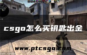 csgo怎么买钥匙出金-PTCSGO开箱网导航