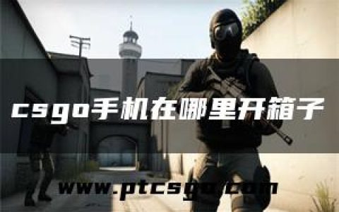 csgo模拟开箱网,虚拟体验，真实快感-PTCSGO开箱网导航