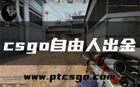 csgo模拟开箱网,虚拟体验，真实快感-PTCSGO开箱网导航