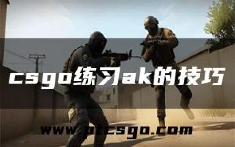csgo模拟开箱网,虚拟体验，真实快感-PTCSGO开箱网导航