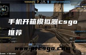 手机开箱模拟器csgo推荐-PTCSGO开箱网导航
