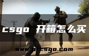 csgo 开箱怎么买-PTCSGO开箱网导航
