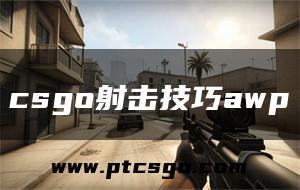 csgo射击技巧awp-PTCSGO开箱网导航