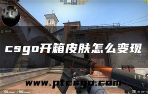 csgo开箱皮肤怎么变现-PTCSGO开箱网导航