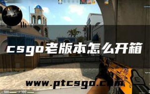 csgo模拟开箱网,虚拟体验，真实快感-PTCSGO开箱网导航
