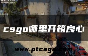 csgo哪里开箱良心-PTCSGO开箱网导航