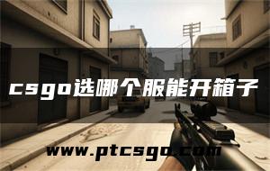 csgo选哪个服能开箱子-PTCSGO开箱网导航